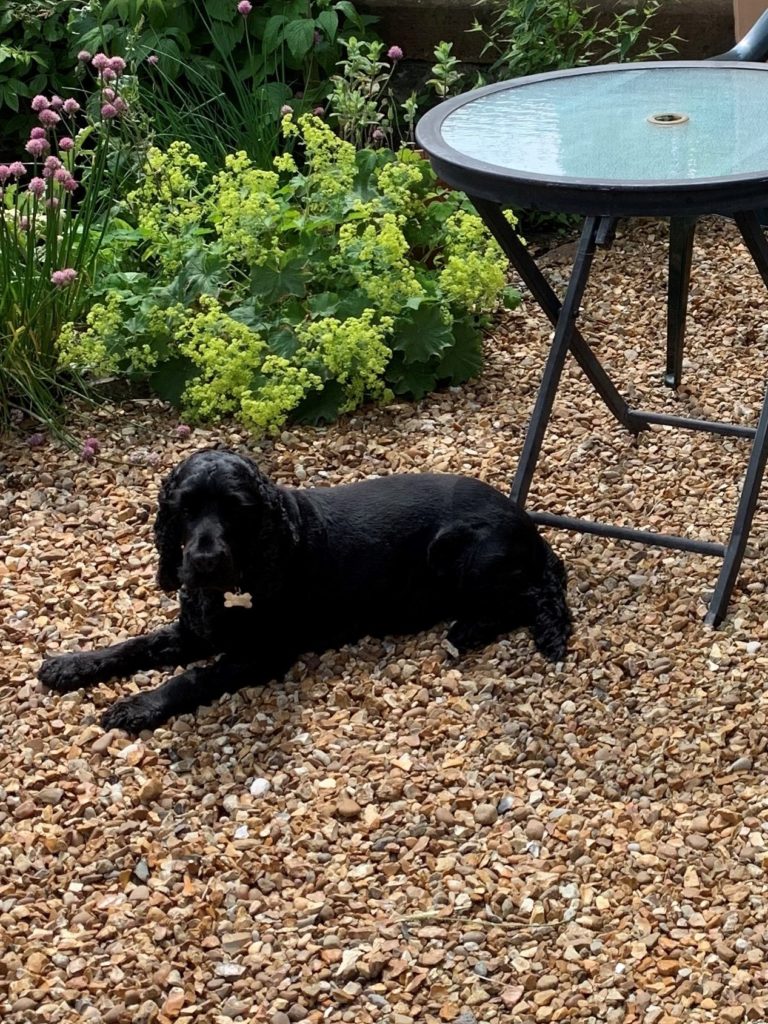 Meet our minister! – Wardie Parish Church